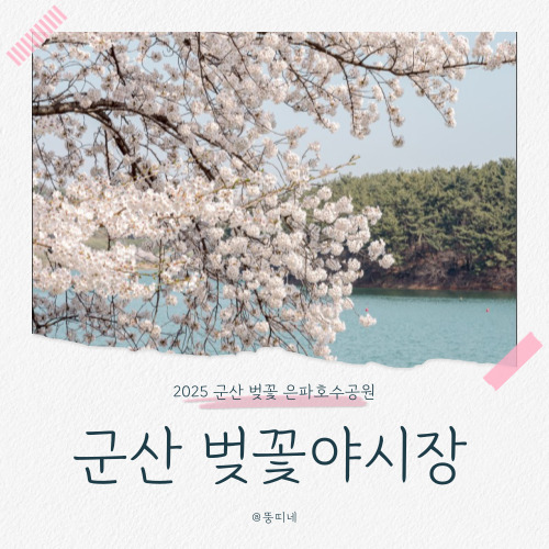 2025 군산 벚꽃축제 은파벚꽃야시장 푸드트럭 배치도 은파호수공원 주차장 네이버 블로그