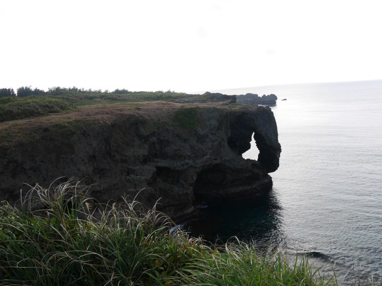 [오키나와] 만좌모, 미츠야혼포 오키나와도넛 : 네이버 블로그