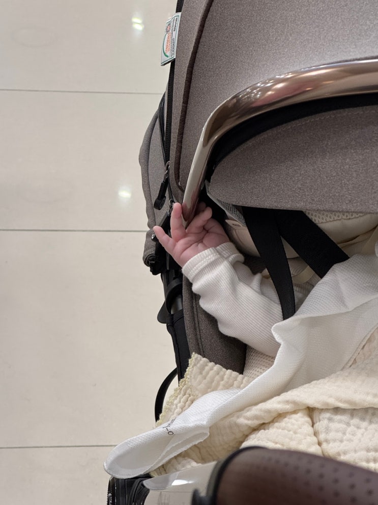 하이브리드 코어2 디럭스 유모차 내돈내산 후기 : 네이버 블로그