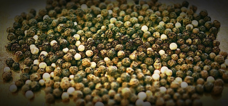 향신료 카르텔, 영국의 "Pepperers Guild"(후추 상인 조합) : 네이버 블로그