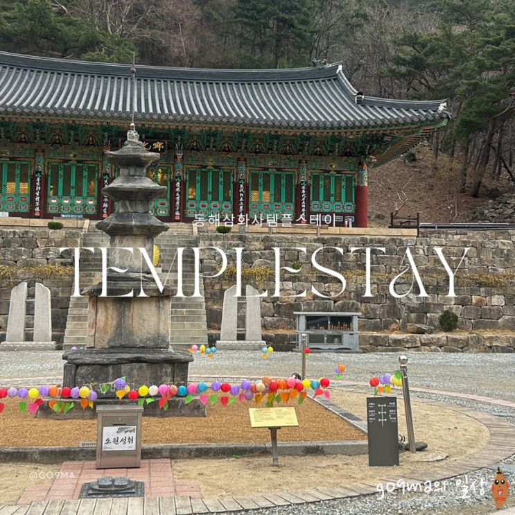 동해 삼화사 템플스테이 뚜벅이 솔직후기 네이버 블로그