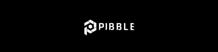 [AMA]PIBBLE's AMA 질문 답변_20250331 : 네이버 블로그