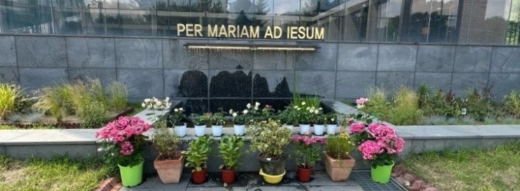 ‘PER MERIAM AD IESUM’ : 네이버 블로그