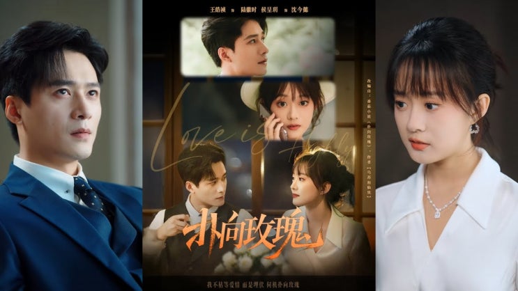 [리뷰] 복향매괴 / 扑向玫瑰 : 네이버 블로그