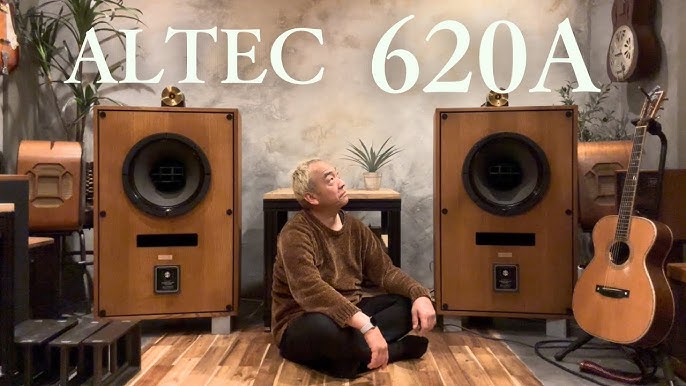 알텍 620A 스피커에 벌집 혼 트위터 유닛을 장착하면? : 네이버 블로그
