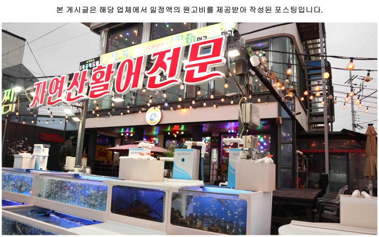 독도활어횟집에서 즐긴 속초 바다와 신선한 맛의 조합 : 네이버 블로그