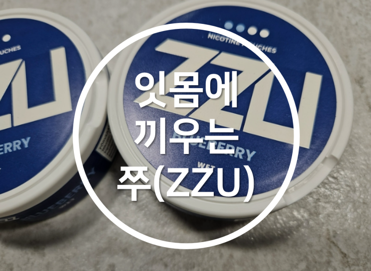금연 성공 꿀팁: 쭈 ZZU 후기 : 네이버 블로그