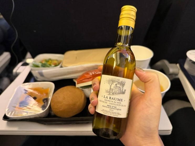 인천-런던행 에어프랑스 AF267 탑승 후기/프랑스 경유 : 네이버 블로그