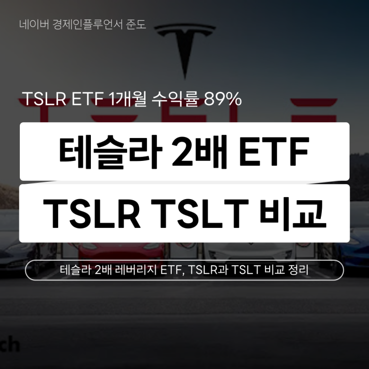 테슬라 2배 레버리지 ETF TSLR TSLT 소개 : 네이버 블로그