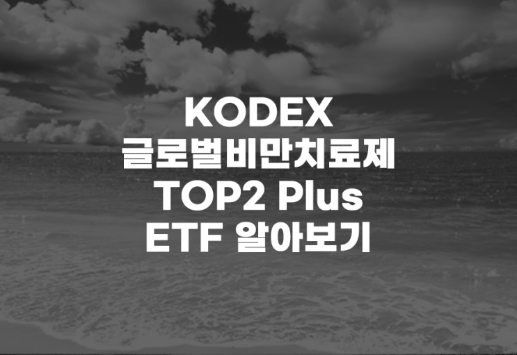 KODEX 글로벌비만치료제 TOP2 Plus ETF[476070] 완전 분석 : 네이버 블로그