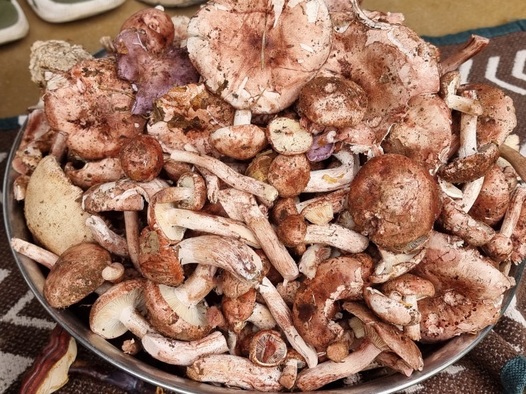 거져 얻는 것들 : 네이버 블로그