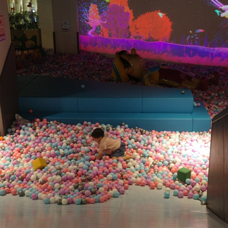 나성동 키즈카페 잭슨나인스 세종점 아이랑 하루종일 놀기 : 네이버 블로그