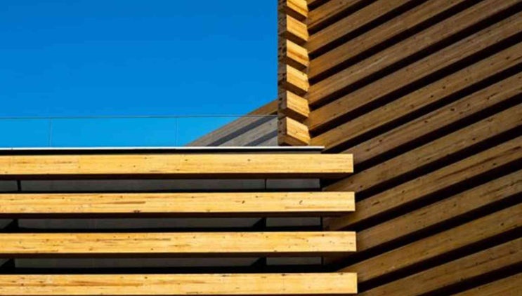 미네랄이 인체에 미치는 영향은 무엇인가? : 네이버 블로그