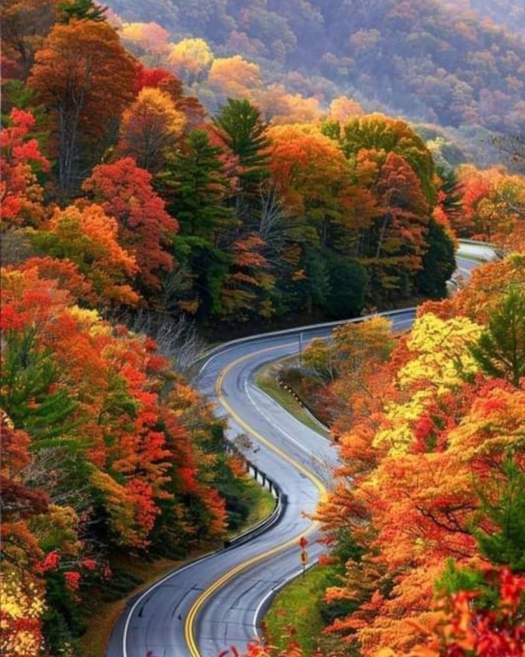 가을 우체국 앞에서 - 종이연(Original version) : 네이버 블로그