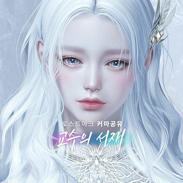 [로아커마/전사(여)] 미스티 발키리 커마 상시공유 : 네이버 블로그