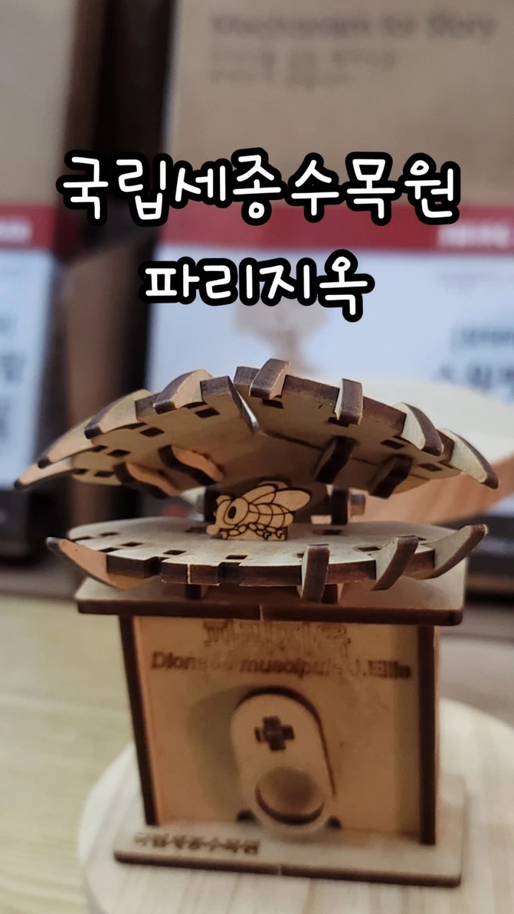 국립세종수목원 파리지옥 오토마타 나무 조립 장난감 : 네이버 블로그