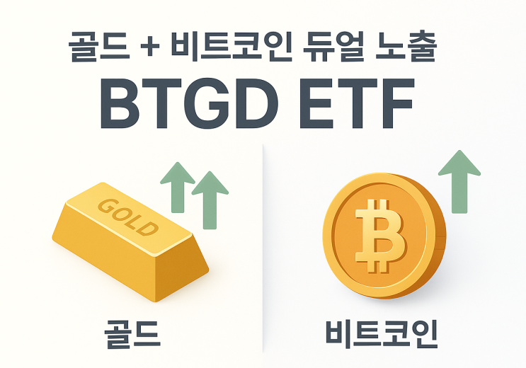 아주 도발적인 상품, BTGD ETF : 네이버 블로그