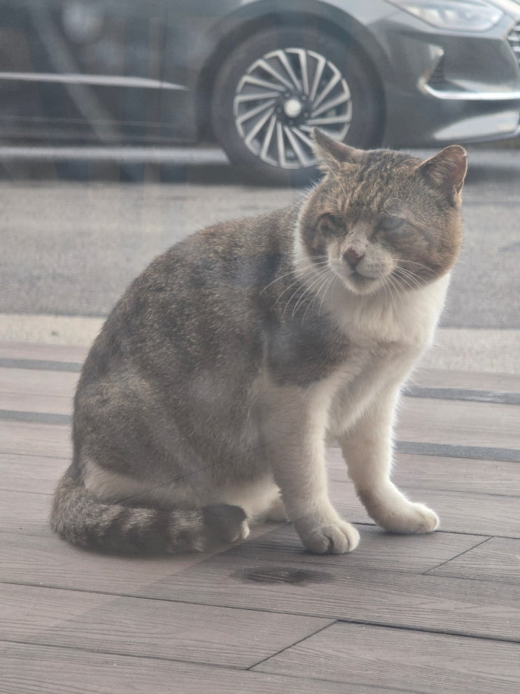 [25.09.29-10.05] 오늘 하루 : 네이버 블로그