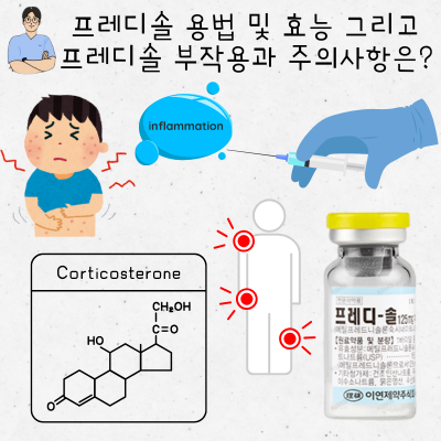 프레디솔 Predisol 용법 및 효능 그리고 프레디솔 부작용 및 주의사항은? : 네이버 블로그