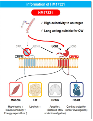 한미약품 HM17321 - UCN2 : 네이버 블로그