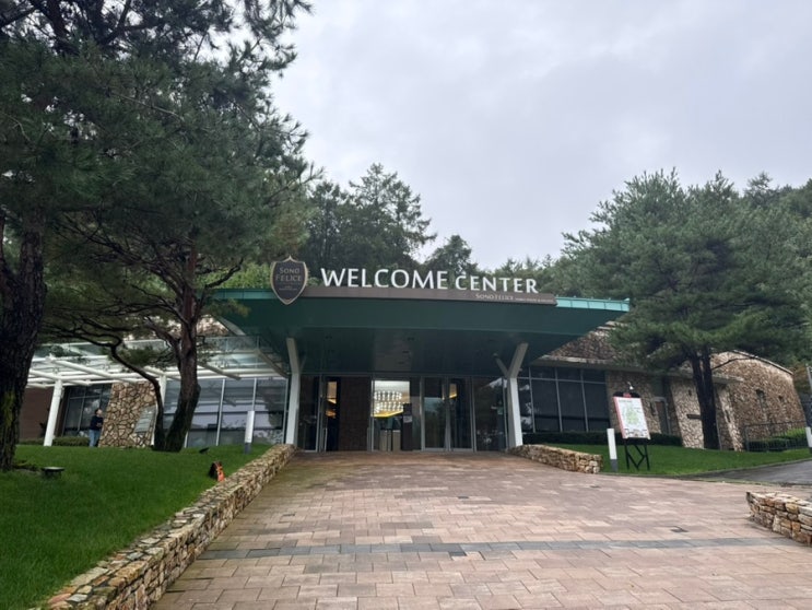 소노펠리체빌리지 비발디파크 대기표 객실 배정 체크인 시간, 구관 신관 위치 : 네이버 블로그