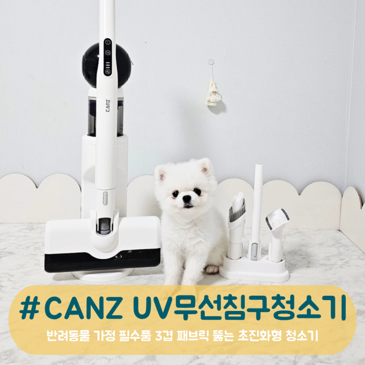 럽마이펫 CANZ 캔즈 UV 무선 침구청소기 반려동물 키운다면! 집 먼지 진드기 걱정된다면! : 네이버 블로그