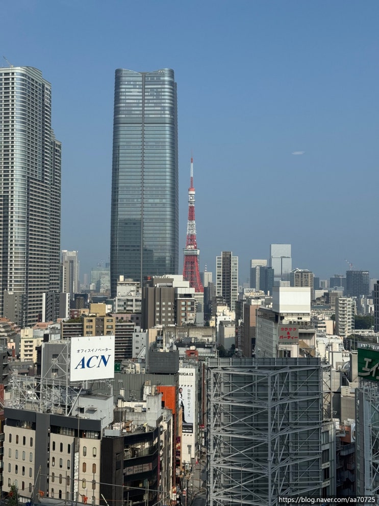 렘 롯본기 (remm Roppongi) レム六本木 : 네이버 블로그