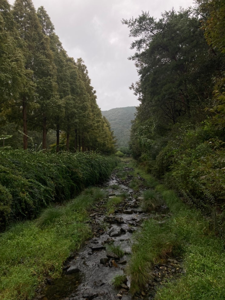 10/1-9 여행+ : 네이버 블로그