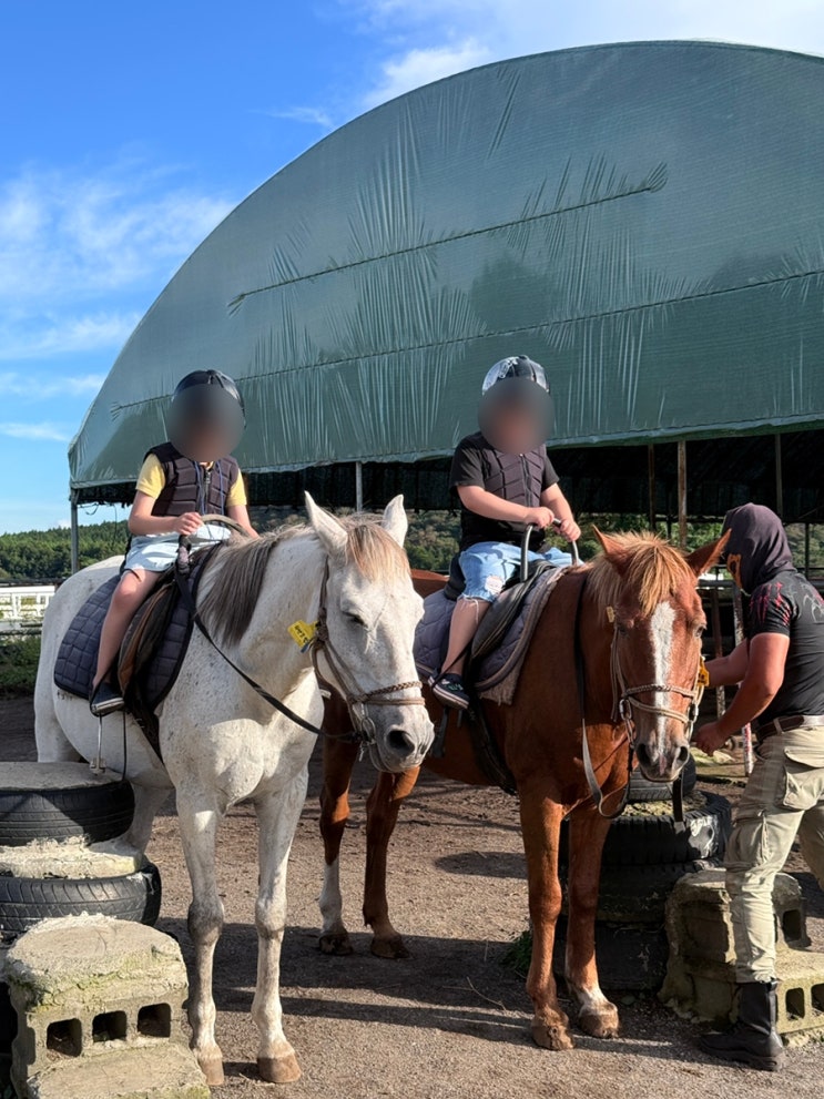 제주 말타기 '제주오름승마랜드' 목장둘레길코스ㅣ7살, 8살 어린이승마체험 후기 :) : 네이버 블로그