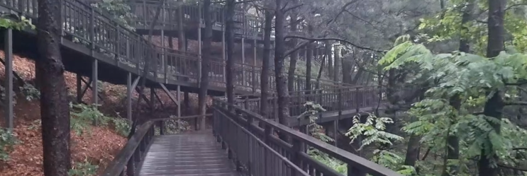 서울 봉화산 '무장애데크' 동행길 + 우중트레킹 : 네이버 블로그