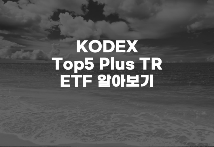 KODEX Top5 Plus TR ETF(315930) – 대한민국 대표주에 집중하는 효율적 투자 전략 : 네이버 블로그