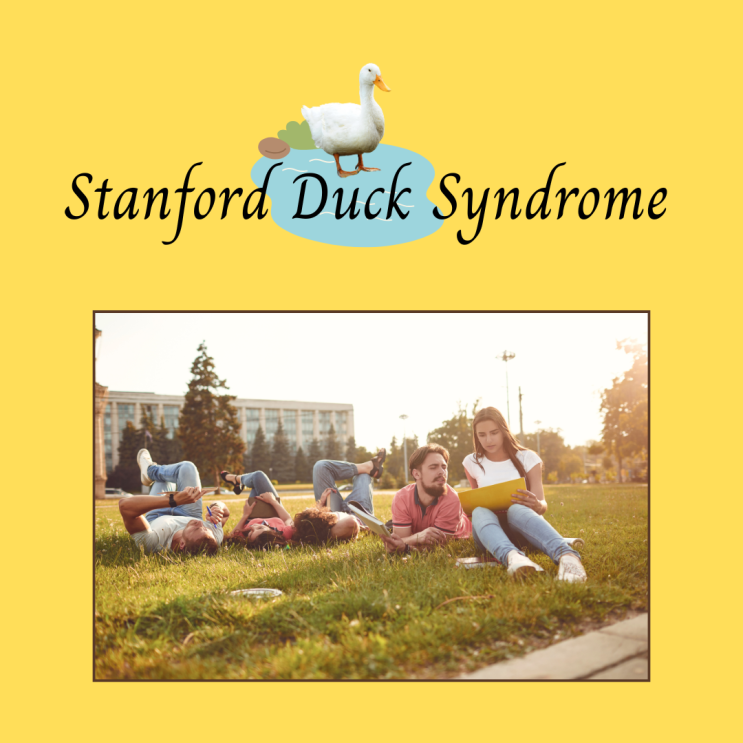 Stanford Duck Syndrome: 겉은 고요, 속은 고투 : 네이버 블로그