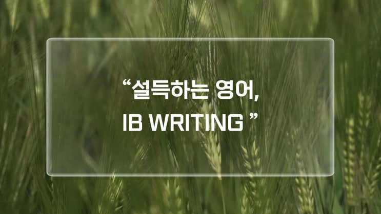 IB Writing: 글로 생각을 증명하는 아이 : 네이버 블로그