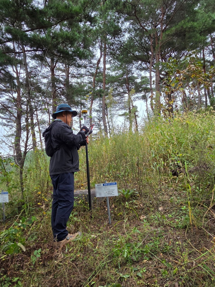 분묘조사 지장물사 분묘좌표측정(DWG파일 X,Y 좌표측정) : 네이버 블로그