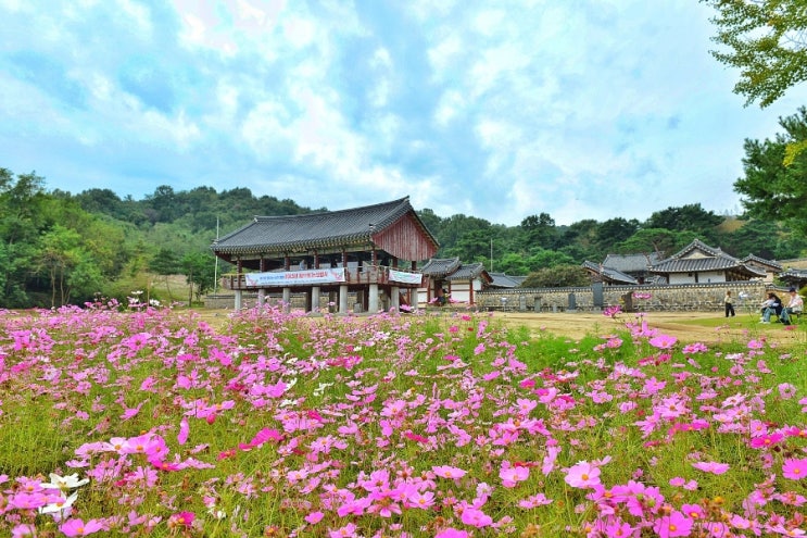 인생겨여치 : 네이버 블로그