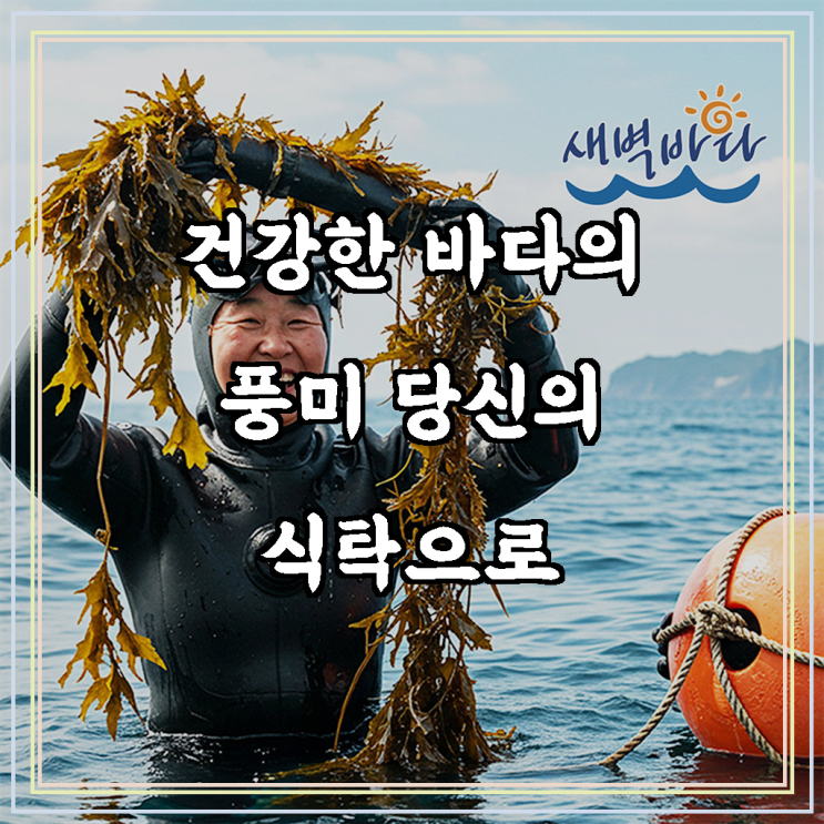 제주 해녀가 갓 채취한 자연산 돌미역, 64% 할인된 가격으로 만나보세요! : 네이버 블로그