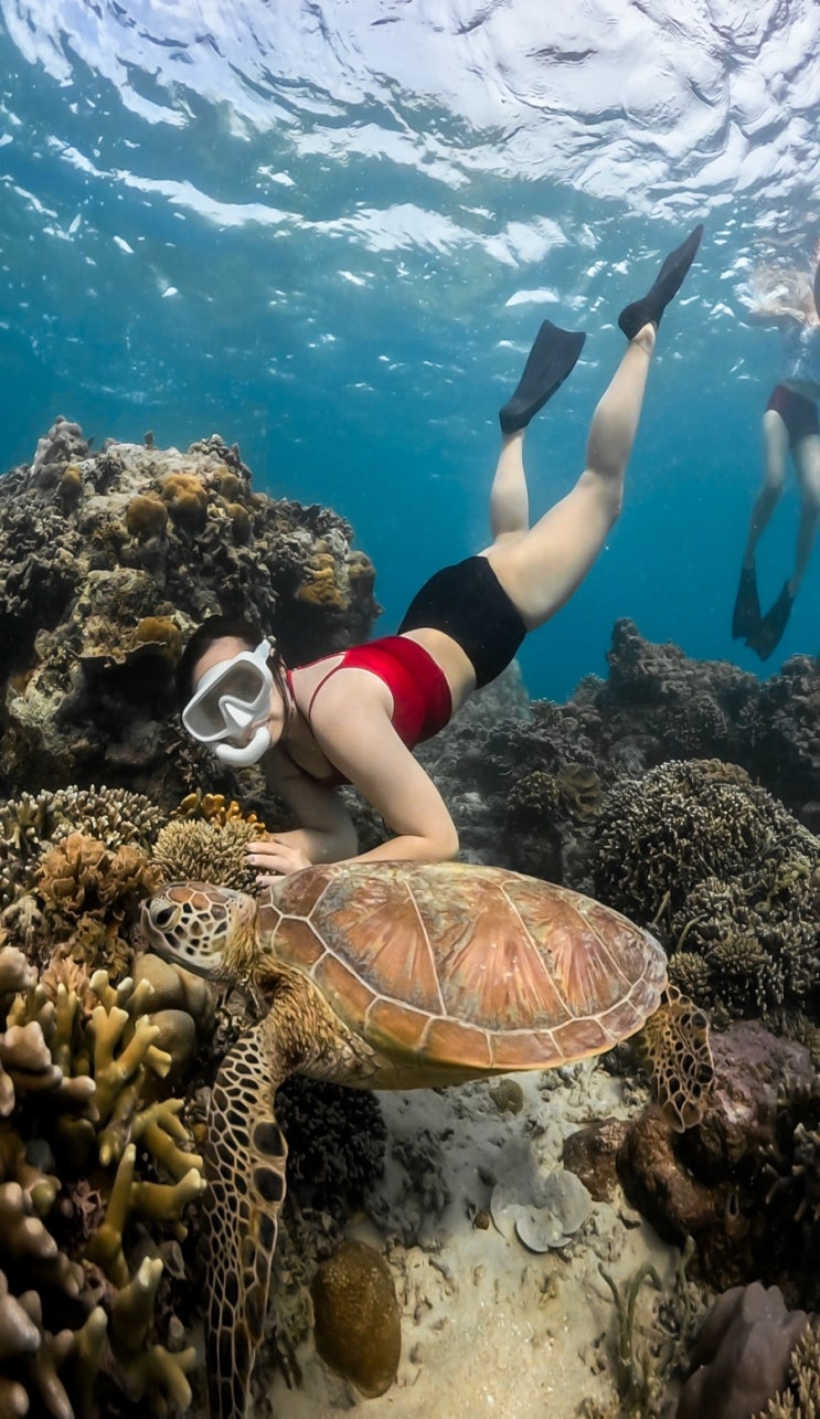 발리 여행 4일차, 길리 섬 3 터틀 스노클링 : 네이버 블로그