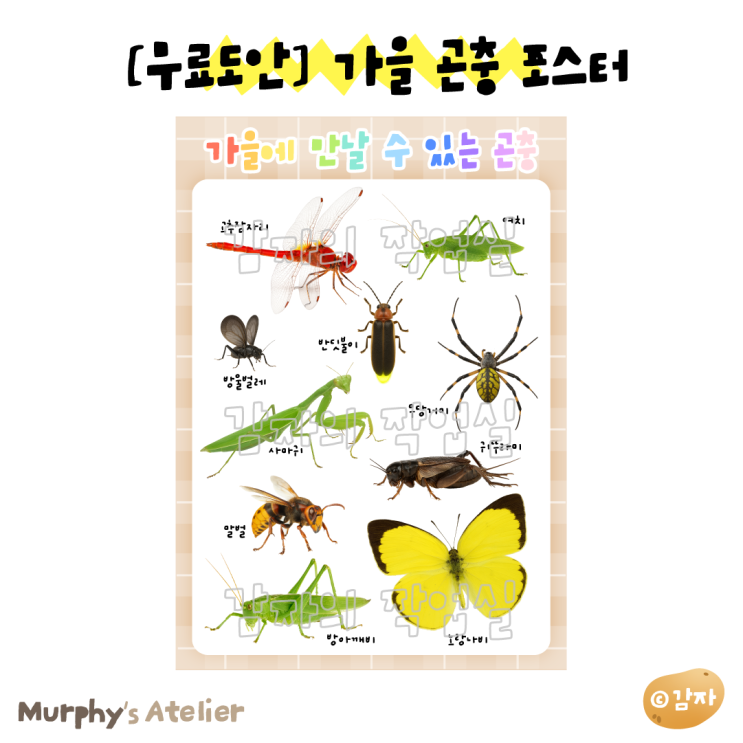 무료도안 가을 곤충 포스터 도안 공유 유치원·어린이집 가을 곤충 활동자료 가을 환경구성 함께해요🍂 네이버 블로그