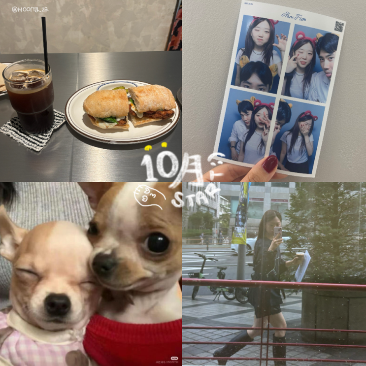 [Daily] 2025년 10월 시작! (연휴야 또 와야한다잉•••) : 네이버 블로그