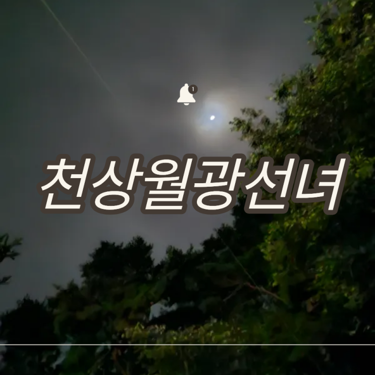 대구 신천동 천상월광선녀 방문기 – 가벼운 마음으로 갔다가 속이 시원해진 날 : 네이버 블로그