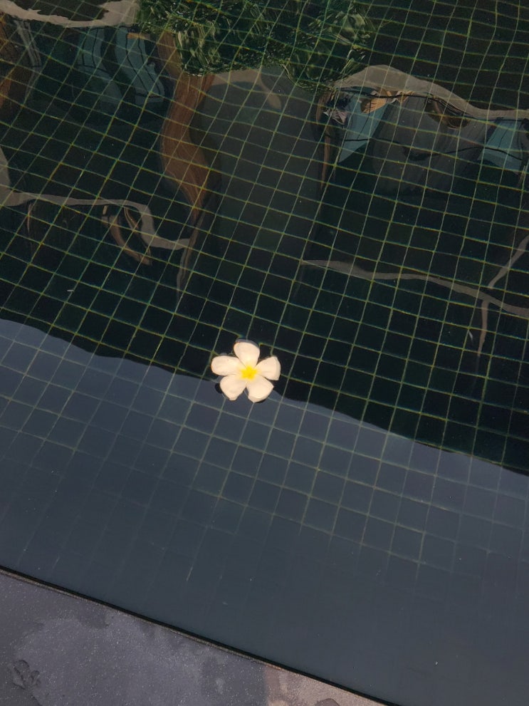 23년 2월 26일-27일 치앙마이 : 네이버 블로그