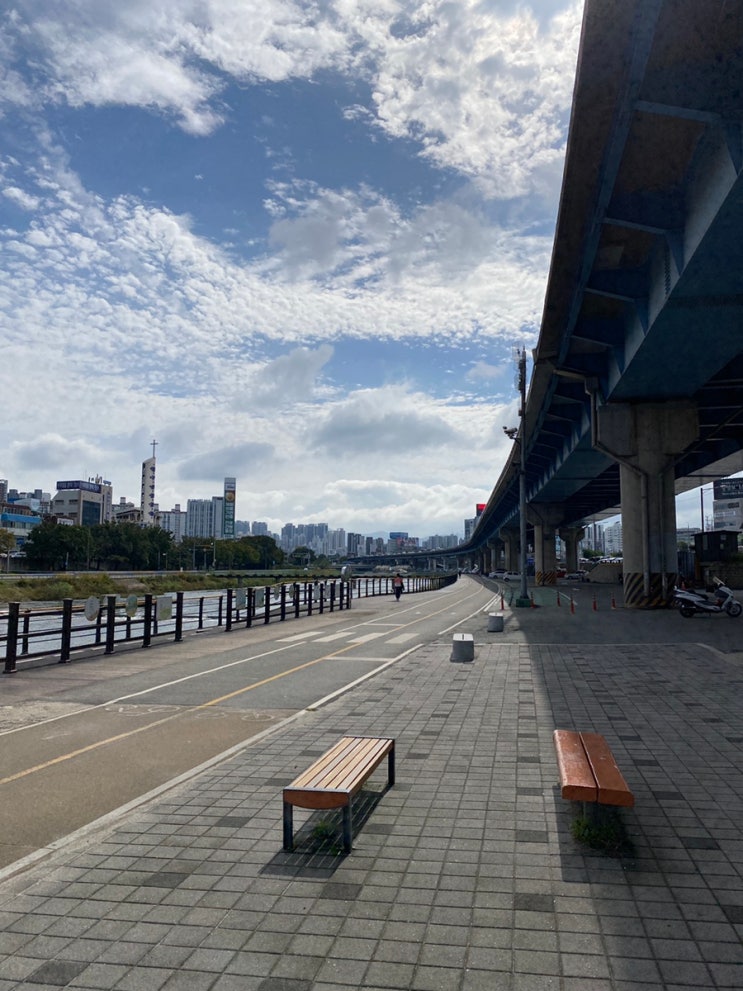 런닝1) 대구 신천 런닝 : 네이버 블로그
