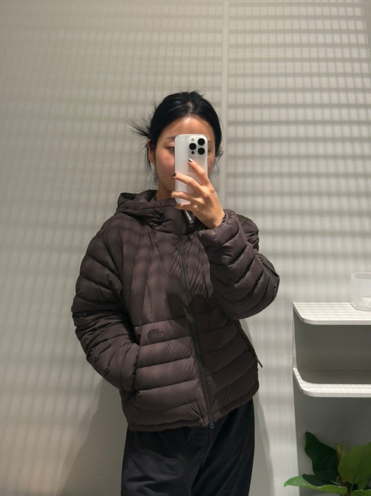 (NJ1DS01/NJ1DS31)CORELINE DOWN JACKET : 네이버 블로그