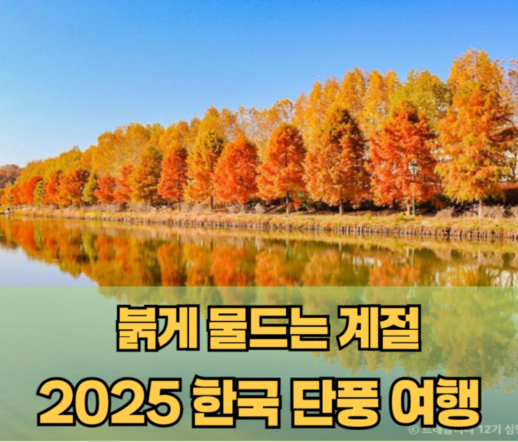 🍁 2025년 단풍 언제 봐요? 설악산부터 내장산까지 '단풍 절정' 시기 완벽 예측! : 네이버 블로그
