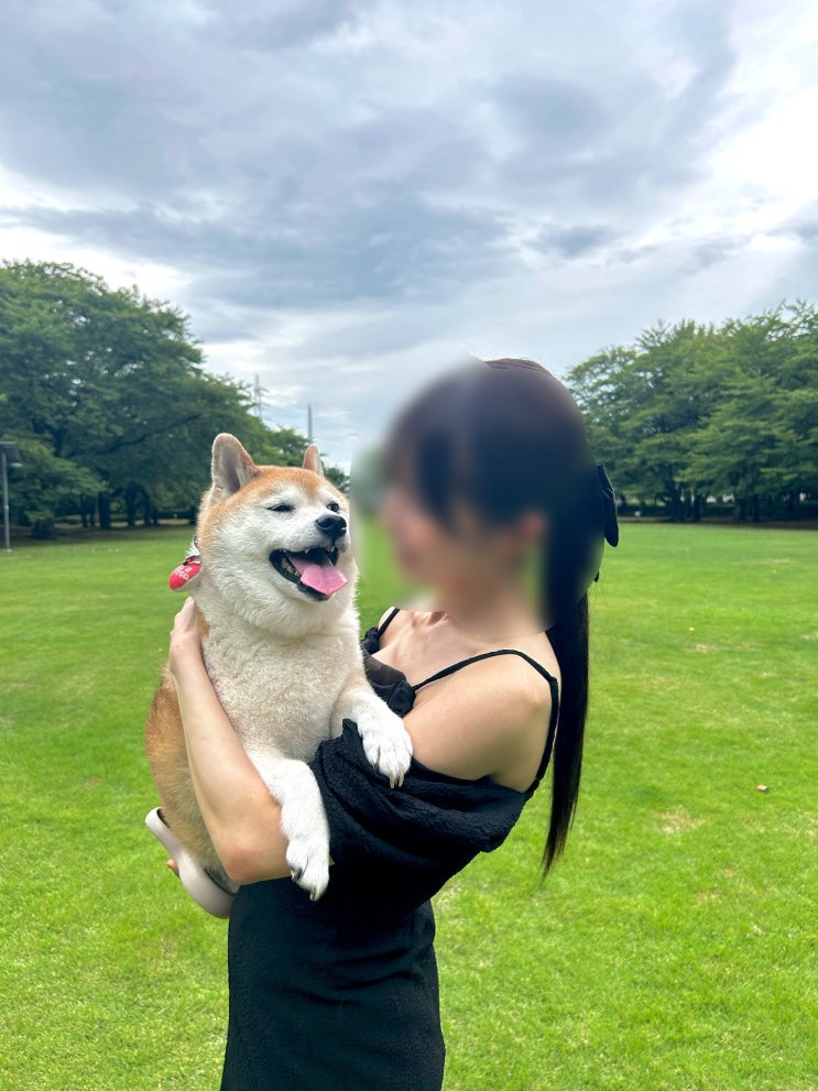 BMI지수 계산하는방법 키 체중 정상기준 : 네이버 블로그