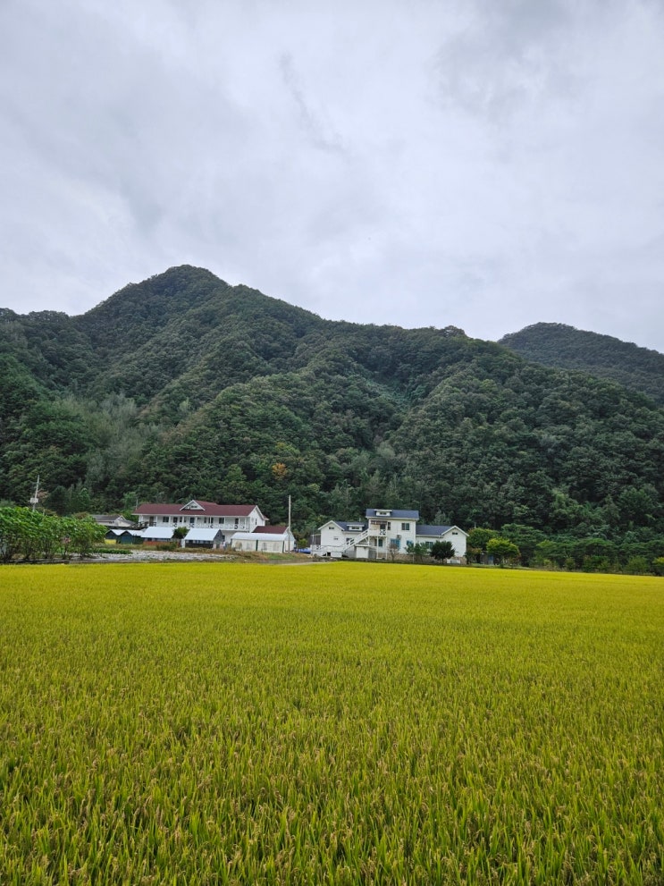 드림스위트펜션 가을하늘이 마음을 설레게하네~~ : 네이버 블로그