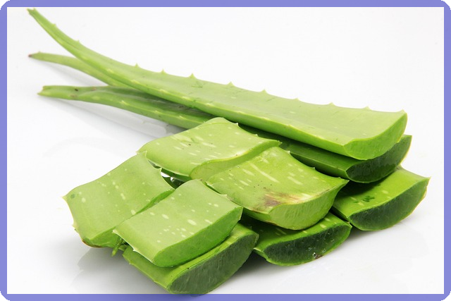 보습관리로 잡티 없애기, 주근깨와 기미를 이겨내는 법 : 네이버 블로그