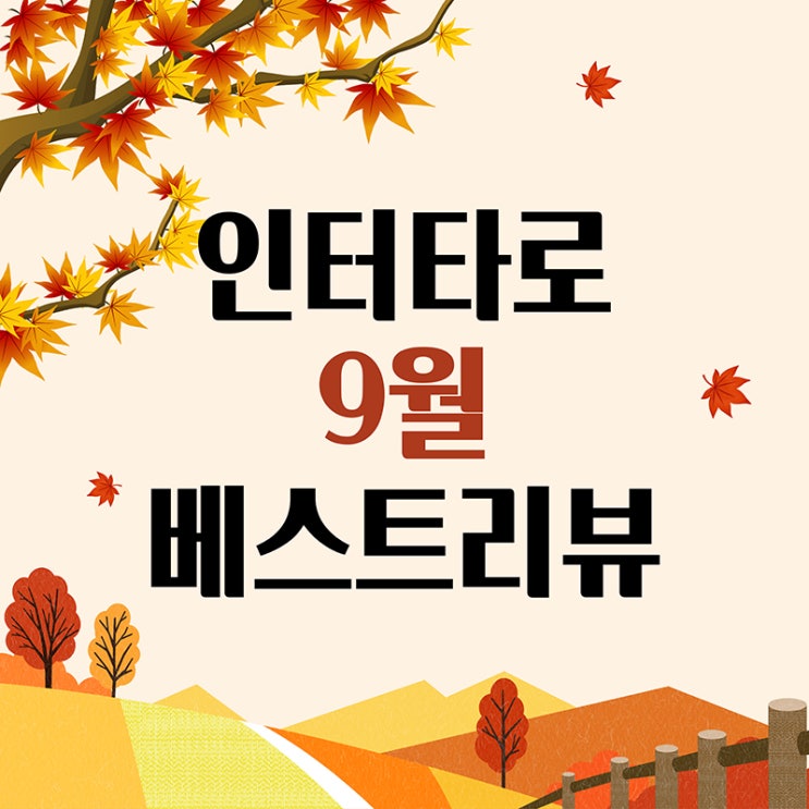 9월 타로카드 베스트 리뷰 ⓒ 인터타로 : 네이버 블로그