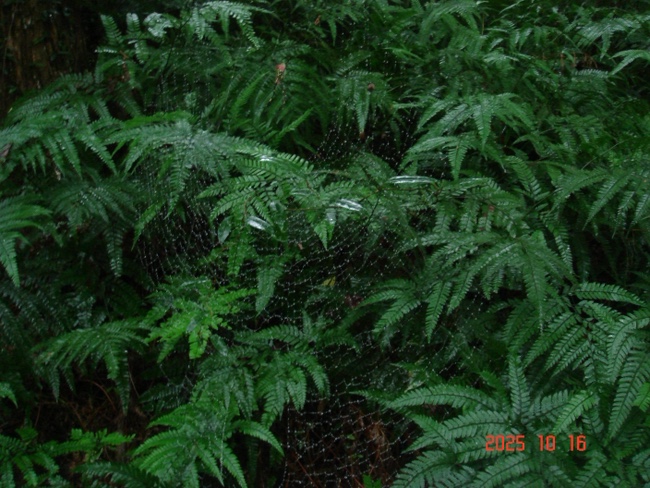 이미 알고 있었어 : 네이버 블로그