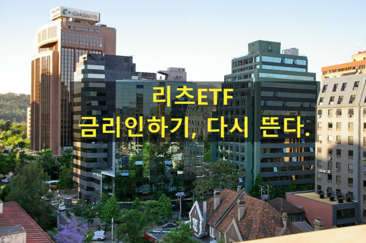 Kodex 한국부동산리츠인프라 ETF에 대한 월배당금이 입금되었다. : 네이버 블로그
